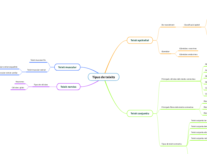 Tipus de teixits - Mind Map